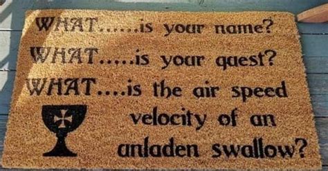 Monty Python Memes 30 Holy Grails Of Humour