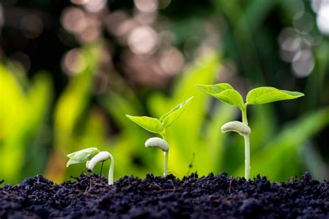 How Digital Maturity Impacts Business Challenges