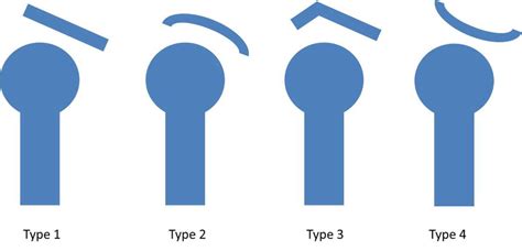 Schematic Of Different Acromial Types References Centro Hospitalar Do