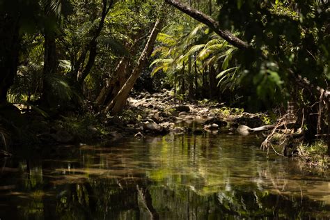 Contact — Finch Hatton