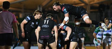 Glasgow Warriors 37 0 Benetton Glasgow Warriors