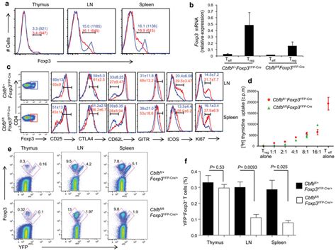 Characterization Of T Reg Cells From Cbfb Flfl Foxp3 Yfp Cre Mice A