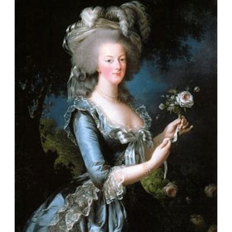 Marie Antoinette The Queen Of France And Wife Of King Louis Xvi