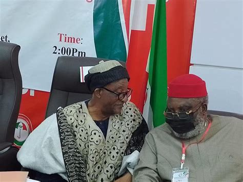 Breaking Pdp Bot Chair Resigns Wabara Takes Over