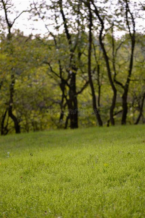 Two Passenger Planes Passing Parallel In The Blue Sky Traces Made By Aircraft Stock Image