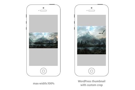 Responsive Images In WordPress