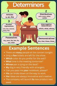 Determiners In English Grammar With Examples