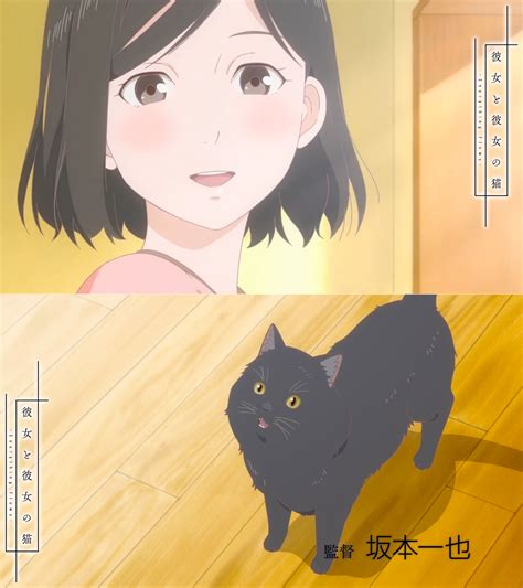 1602292 「坂本一也」監督處女作！新海誠出道作改編動畫《彼女と彼女の猫 Everything Flows 》預告片公開