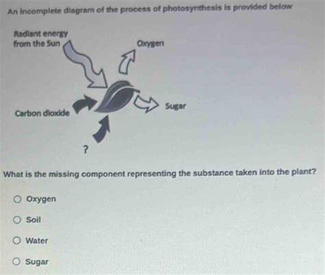 Solved An Incomplete Diagram Of The Process Of Photosynthesis Is Provided Below Radiant Energy