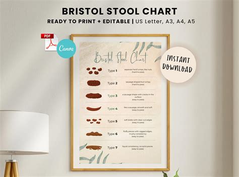 Editable And Printable Bristol Stool Chart Pdf Gut Health Poop Poster