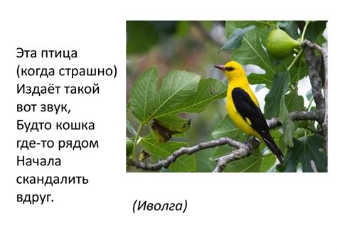 Угадай слово Игра презентация онлайн