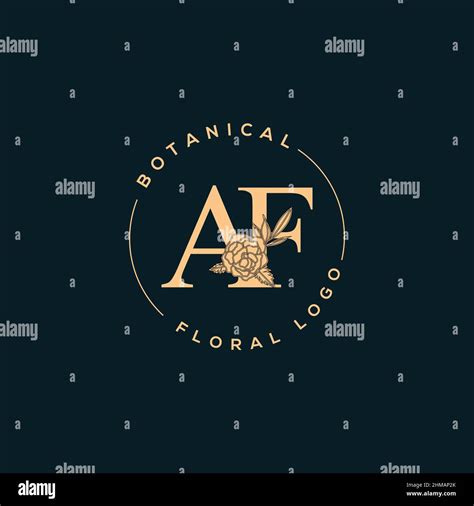Initial Af Letter Luxury Beauty Flourishes Ornament Monogram Logo Stock Vector Image Art Alamy