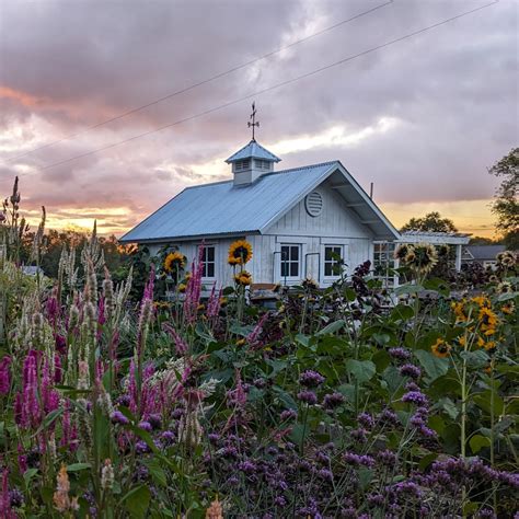 Three Acre Farm Three Acre Farm Added A New Photo Three Acre Farm Three Acre Farm Added A New Photo