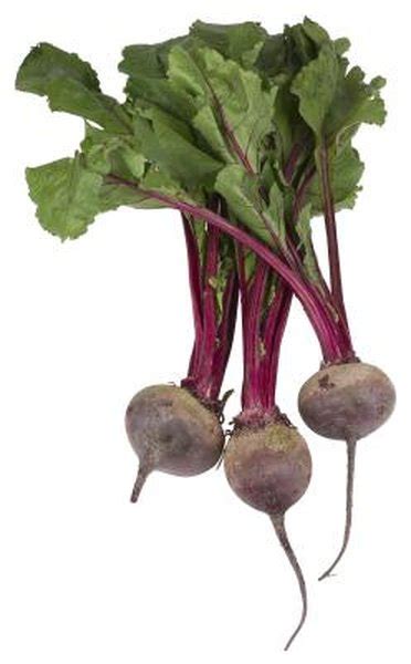 Foods Containing Betaine Woman