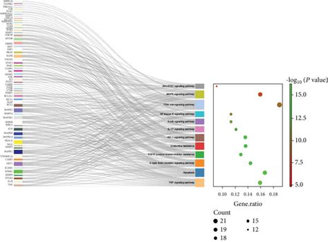The Kegg Pathway Enrichment Analysis Of Key Targets The Squares