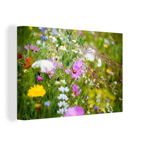 Onemillioncanvasses® Leinwandbild Blumen Natur Grün Gras Lila