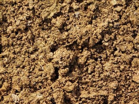 Soil Particles Stock Photos Images And Backgrounds For Free Download