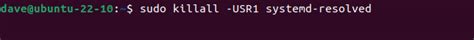How To Flush Dns In Linux