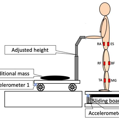 Schematic Representation Of The Experimental Setup Additional Mass An