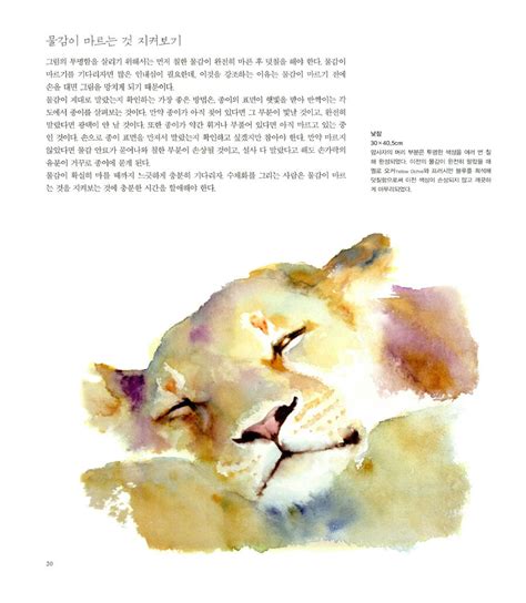 알라딘 미리보기 종이 위의 마법 수채화