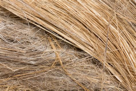 Natural Fibers Form Eco Friendly Textile Reinforced Concrete Prosales