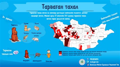 ЗӨВЛӨМЖ ТАРВАГАН ТАХАЛ ӨВЧНӨӨС СЭРГИЙЛЬЕ