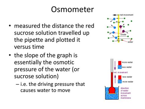 Ppt Labs 6 And 7 Powerpoint Presentation Free Download Id2180146