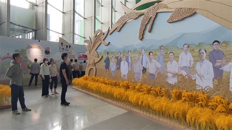 中国攻克杂交水稻难关50周年展览开幕新闻科学网