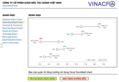 Excel Dashboard Chart VINACFO