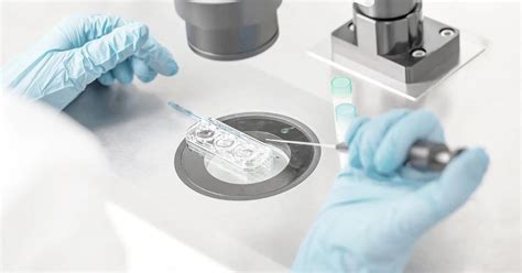 Consejos Para Mejorar La Calidad Del Semen