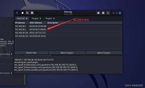 关于kali Dns劫持失败解决办法 Csdn博客