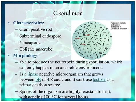 Clostridium Botulinium Microbiology