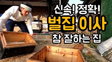 Ep6 꿀벌집 봄맞이 이사 준비양봉 Youtube