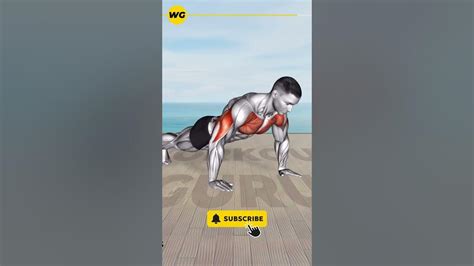 10 Beginner Exercises For Chest Fat To Lose Man Boobs 8 Youtube