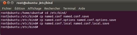 Installer Paramétrer un Serveur DNS Bind Linux