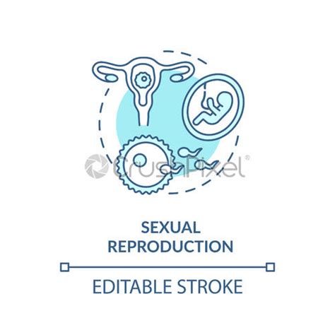 Sexual Reproduction Concept Icon Stock Vector 2547435 Crushpixel