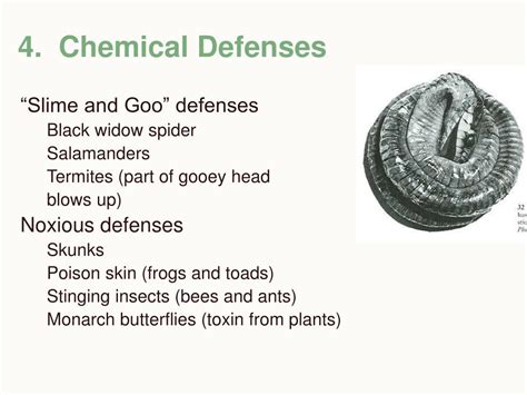 Ppt Adaptation And Anti Predator Behavior Powerpoint Presentation Id212604