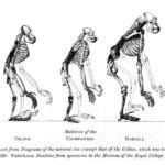 Ultimate Guide To The AP Biology Exam CollegeVine Blog
