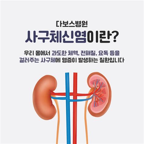 사구체신염 증상 만성질환으로 변하기 전에 치료해야 합니다 네이버 포스트