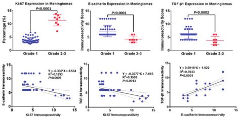 Semi Quantitative Analysis Of Immunostaining A Ki 67 Expression Was Download Scientific