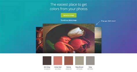 Canva S Color Palette Generator The Easiest Place To Get Colors From
