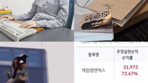 Vlog 웹소설 작가 브이로그기쁘게 쳇바퀴 돌리는 프리랜서 일상 Youtube