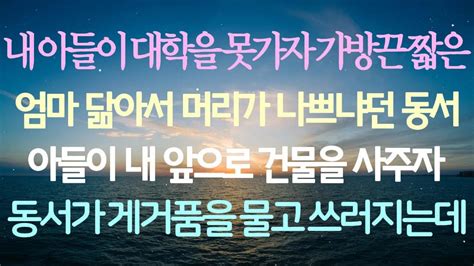 내 아들이 대학에 진학하지 못하자 가방끈이 짧은 엄마를 닮아 머리가 나쁘다고 하던 동서의 아들이 내게 건물을 사주자 동서가 분노하며 쓰러지더라 Youtube