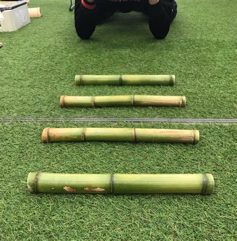 🎋なぜ竹踏みで体が整うのか？🎋 スポーツ鍼灸接骨院b Spo