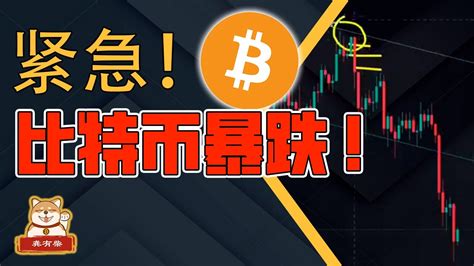 紧急！比特币btc暴跌！还会跌破30000吗？跌破以后怎么走？ 比特币 ｜ Btc 比特幣 ｜ 以太坊 Youtube