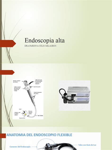 Endoscopia Digestiva Alta Guía Completa Pdf Endoscopia Medicina