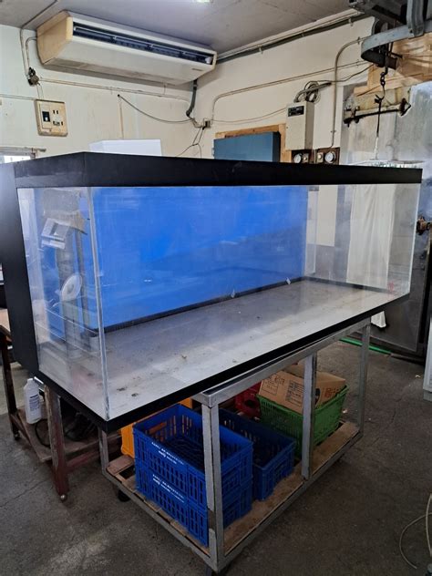 【やや傷や汚れあり】大型2mアクリル、オーバーフロー水槽 引き取り限定 福岡の落札情報詳細 ヤフオク落札価格検索 オークフリー