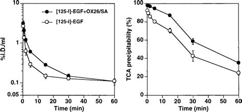 Right Panel Profile Of The Tca Precipitable Plasma Radioactivity Of Download Scientific