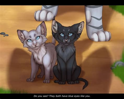 Warrior Cats Kits Oc Warrior Cats Birth Warriors Animated Warrior