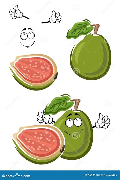 Fruta De Guayaba Madura Del Verde De La Historieta Ilustración Del
